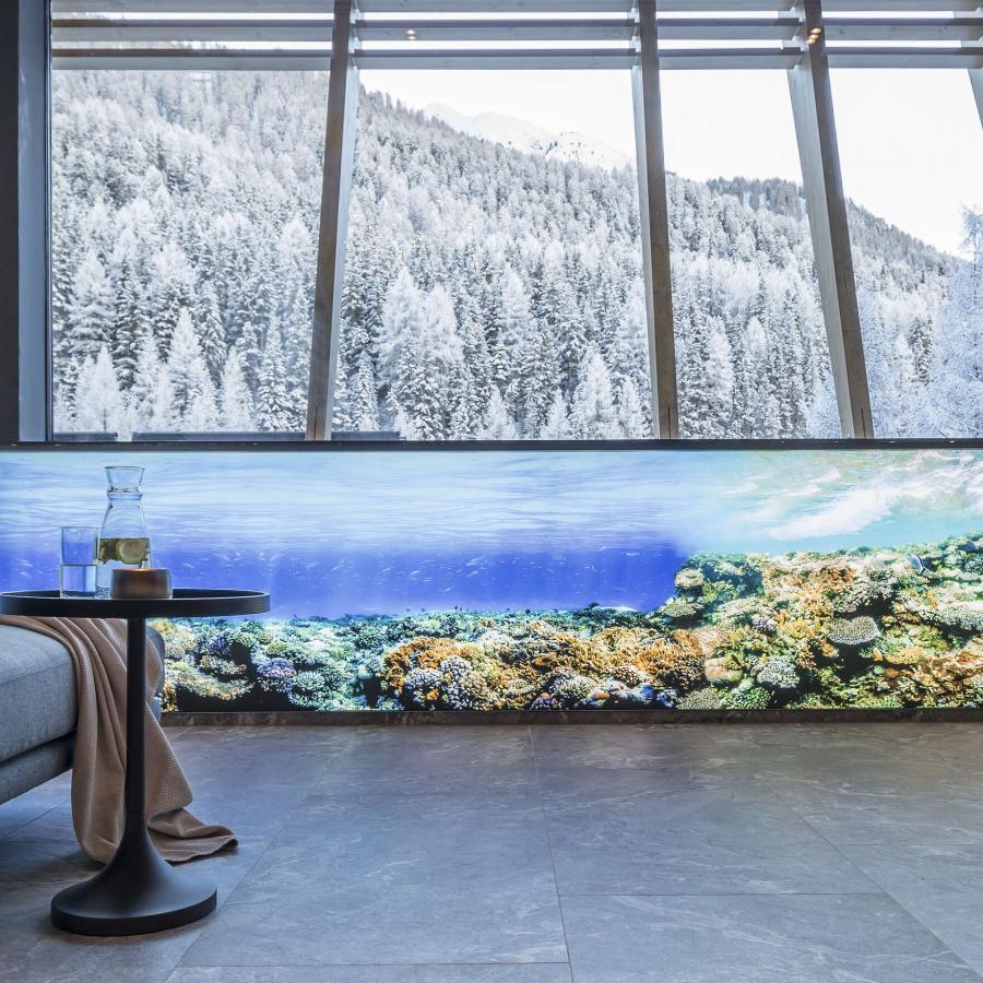 Hotel - Hotel - Bildergalerie - Einblicke - Das HOMANN in Samnaun Ravaisch